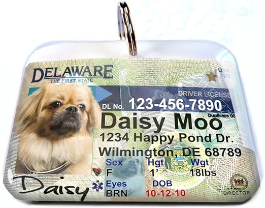 Amazon.com : ID4Pet Dog Driver License Delaware state license (Large 2. ...