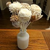 Amazon.com: 8 Mixed Sola Wood Flower Reed Diffuser for Home Fragrance ...