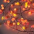 Amazon.com: QBIS 120 Berry Cluster Lights, Halloween Decorations ...