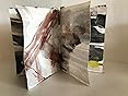 Bound: 15 beautiful bookbinding projects: Hazell, Rachel: 9780857835079: Amazon.com: Books