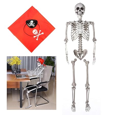 Amazon.com: 5ft Tall Life Size Posable Halloween Skeleton with Movable ...