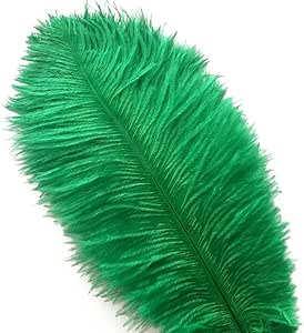 Amazon.com: Piokio 20 pcs Natural Green Ostrich Feathers 12-14 inch(30 ...