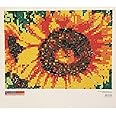 Amazon.com: Stick Together Sunflower Sticker Mosaic, Perfect ...