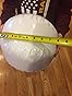Amazon.com: 16-Inch Deflated Size Solid White Beach Ball - Inflatable ...
