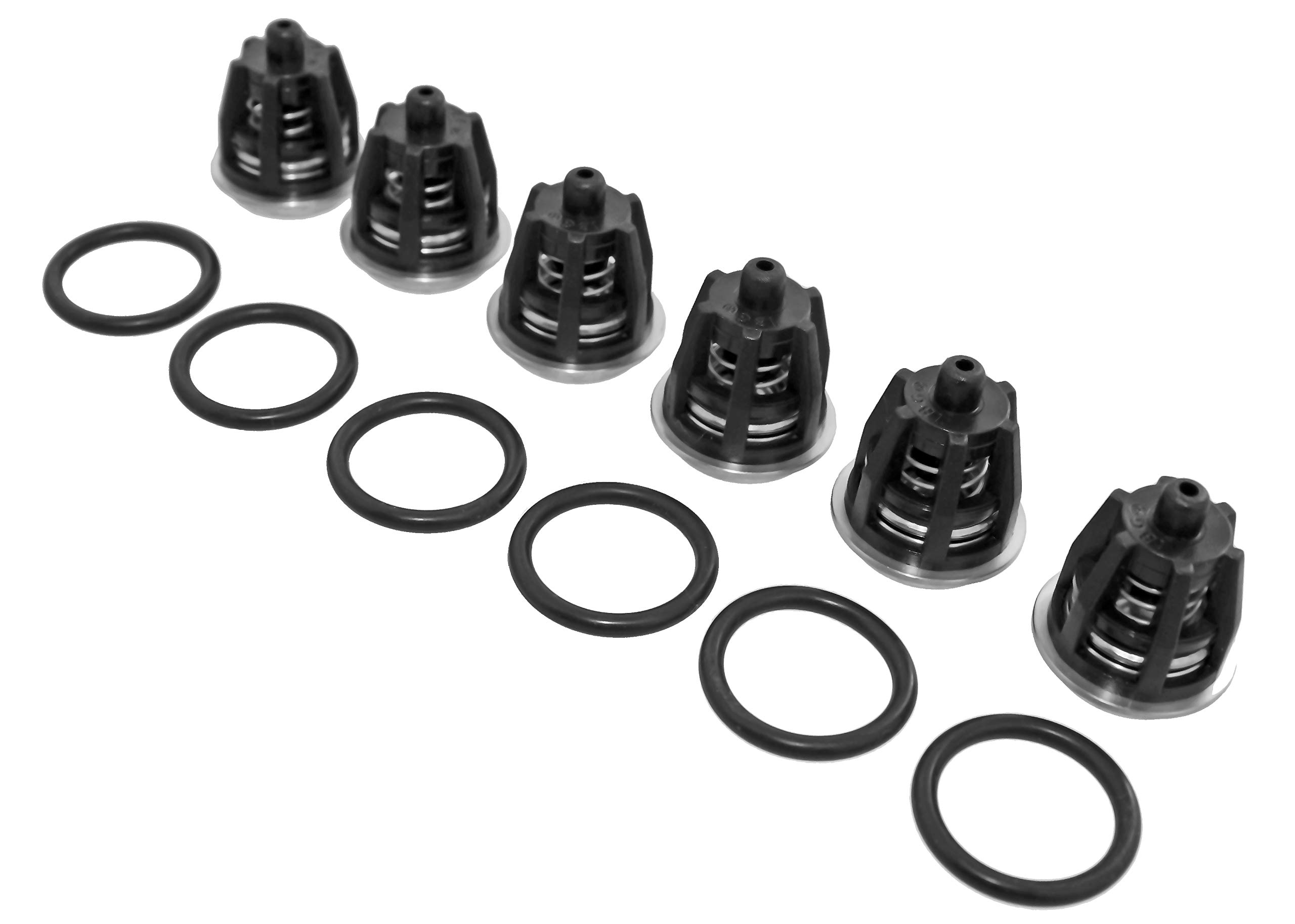 Mua Pump Check Valves Kit 1 K01 Interpump trên Amazon Mỹ chính hãng ...