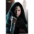 Amazon.com: Trends International DC Comics Movie - Wonder Woman - Cloak ...