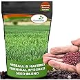 Amazon.com : Outsidepride Fireball & Hattrick Rye Grass Seed Blend - 10 ...