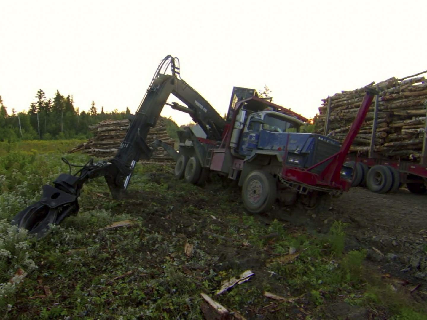 Watch American Loggers - Season 1 | Prime Video