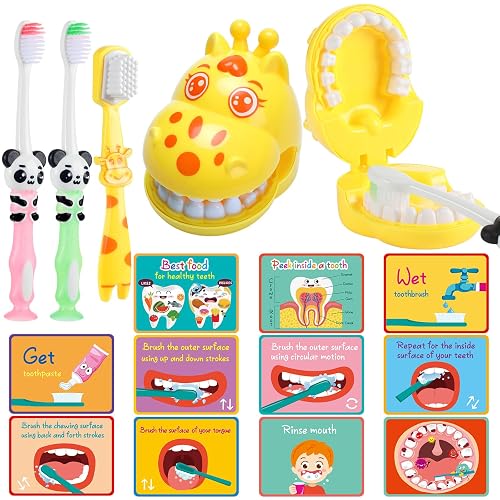 Skylety 2 Set Dentist Kit for Kids Dentist Play Set Dental Teeth Model ...