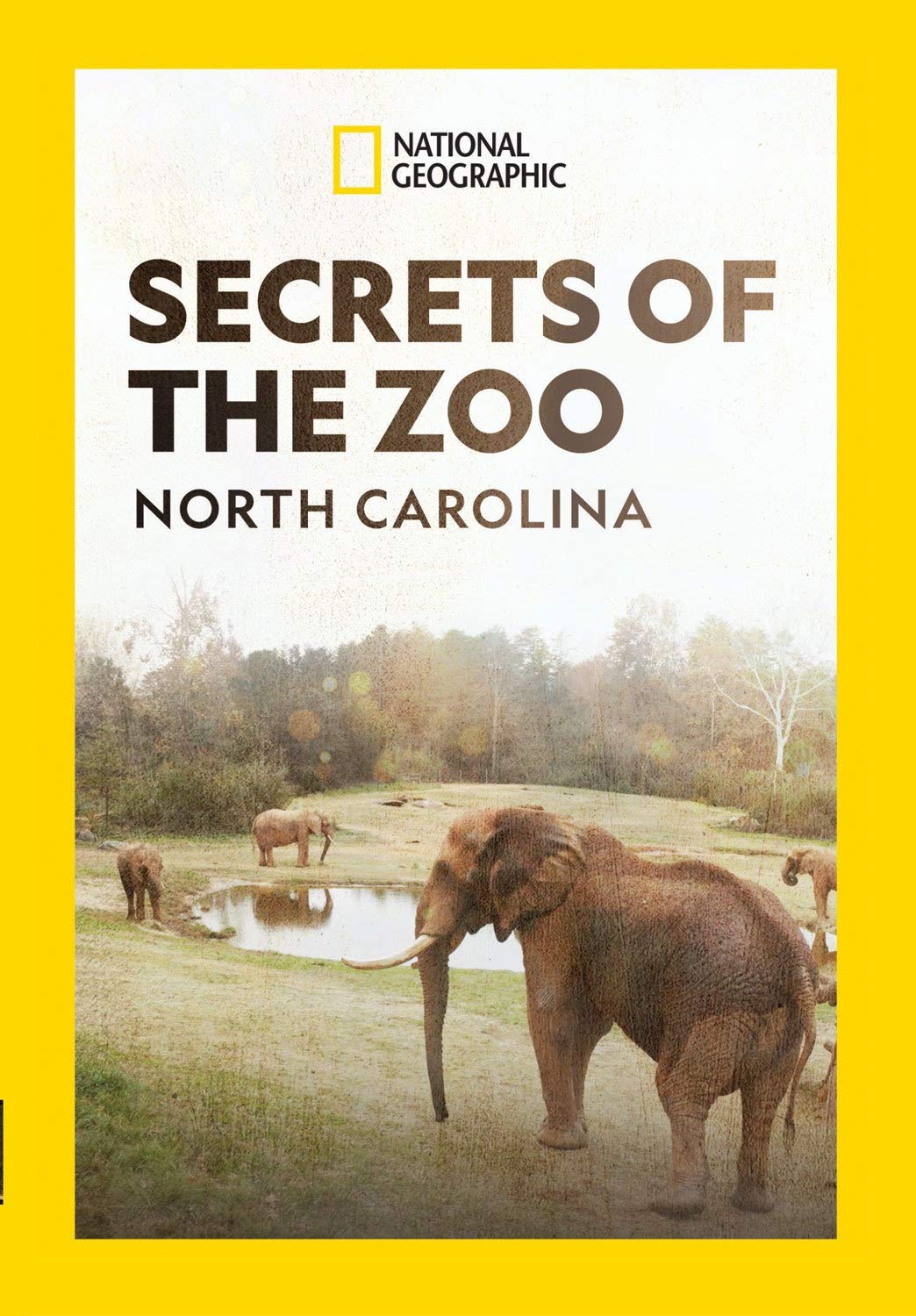 Amazon.com: Secrets of the Zoo: North Carolina S1: National Geographic ...