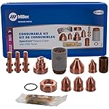 Miller Electric Ice 55c 25 ft. Hand Held Replace Torch: Plasma Arc ...