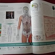 Amazon.fr - Le Grand Larousse du corps humain - Nouvelle édition - Collectif - Livres