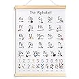 Amazon.com: Animal Alphabet and Numbers Poster for Classroom Wall ...