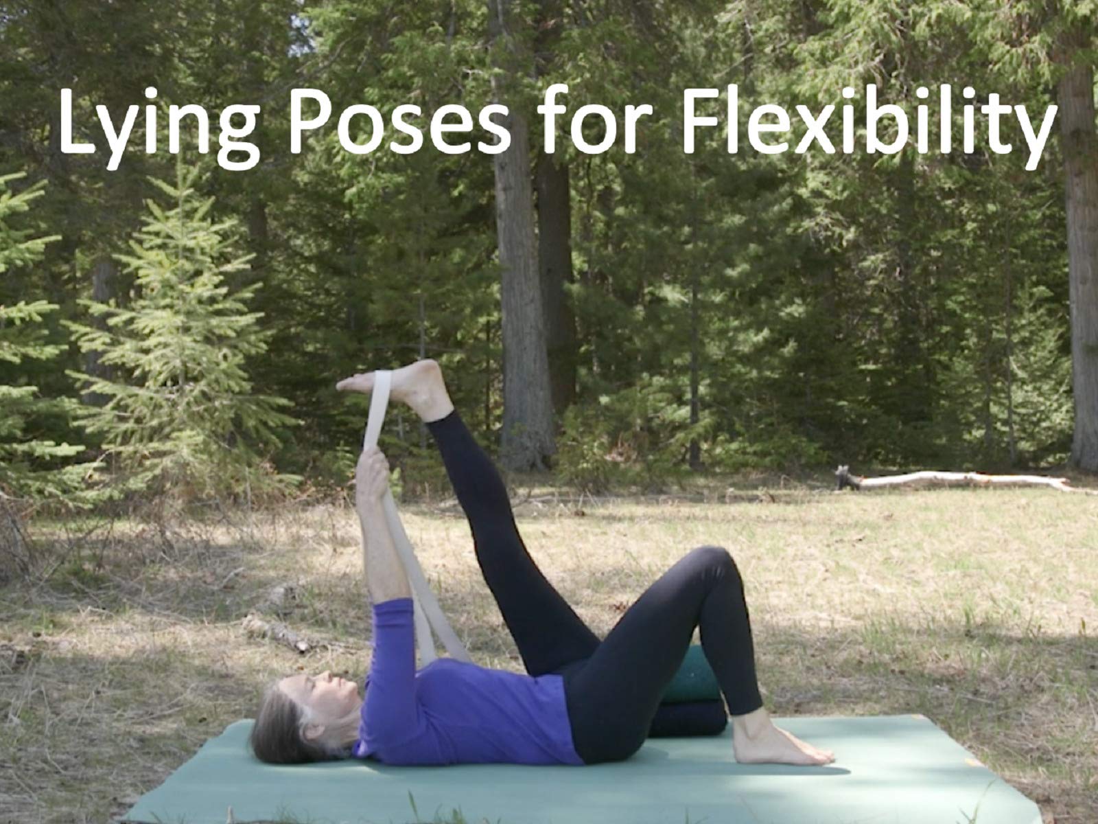 Watch Yoga for Beginners: A Complete Program wih 9 Practices, with Jane ...