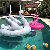 Amazon.com: Intex Mega Swan, Inflatable Island, 76.5" X 60" X 58": Toys ...