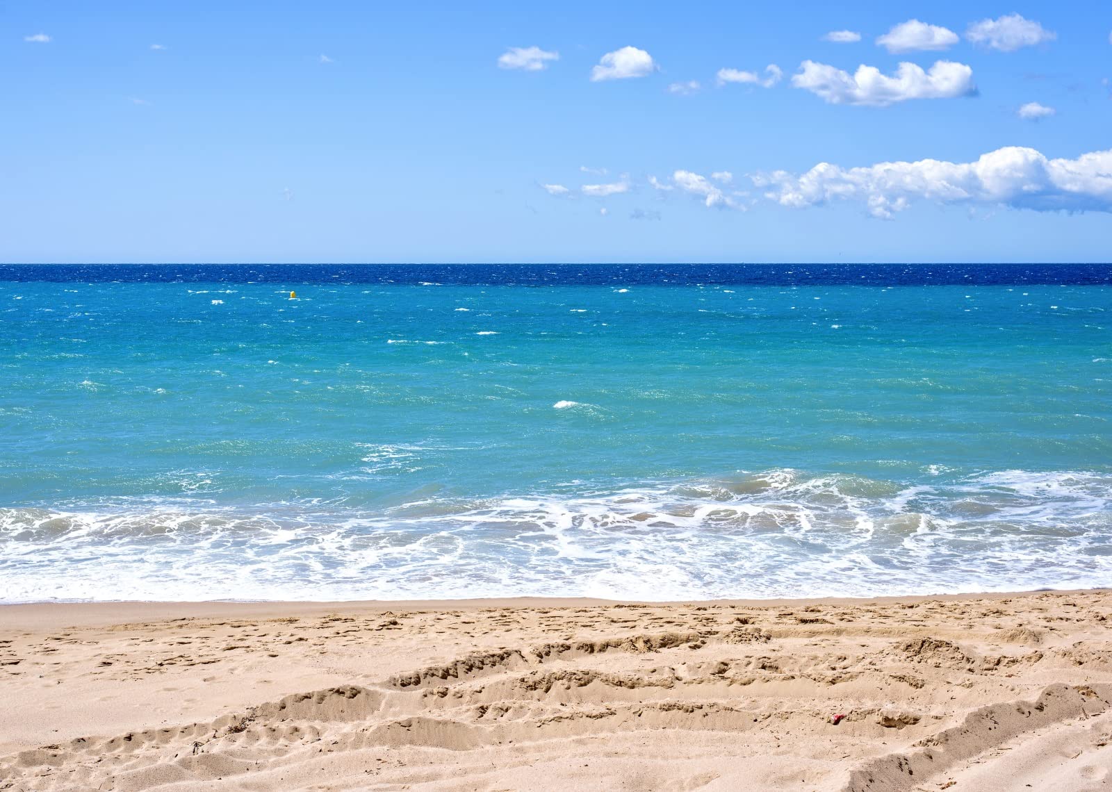 BELECO 8x6ft Fabric Tropical Beach Backdrop Ocean Wave Backdrop Summer ...