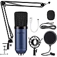 Amazon.com: Condenser Microphone ZINGYOU Computer Mic ZY-007 Recording ...