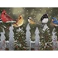 Amazon.com: Bits and Pieces – Large 300 Piece Jigsaw Puzzle for Adults ...