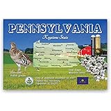 Amazon.com : PENNSYLVANIA TRAVEL POSTER postcard set of 20 identical ...