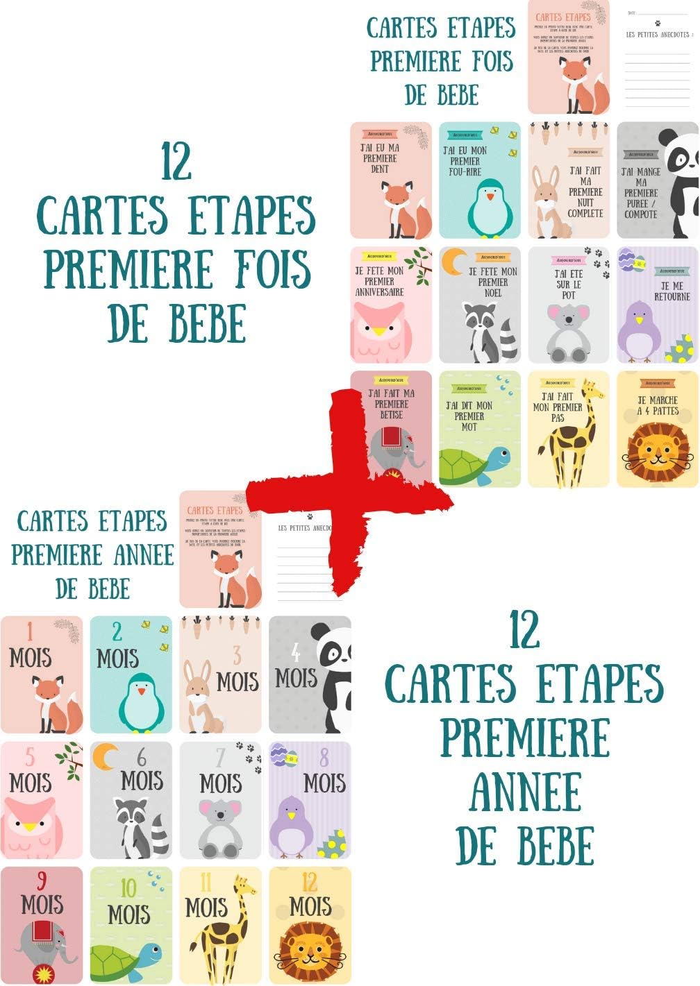 Set of 24 Baby Steps Cards – His First Year + His First Times – Animal ...