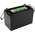 Amazon.com: Interstate Batteries 12V 100Ah 110Ah (L Terminal) Deep ...