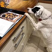 The Happy Dog Cookbook: Biscuits, Burgers, Bites and More: Amazon.co.uk ...