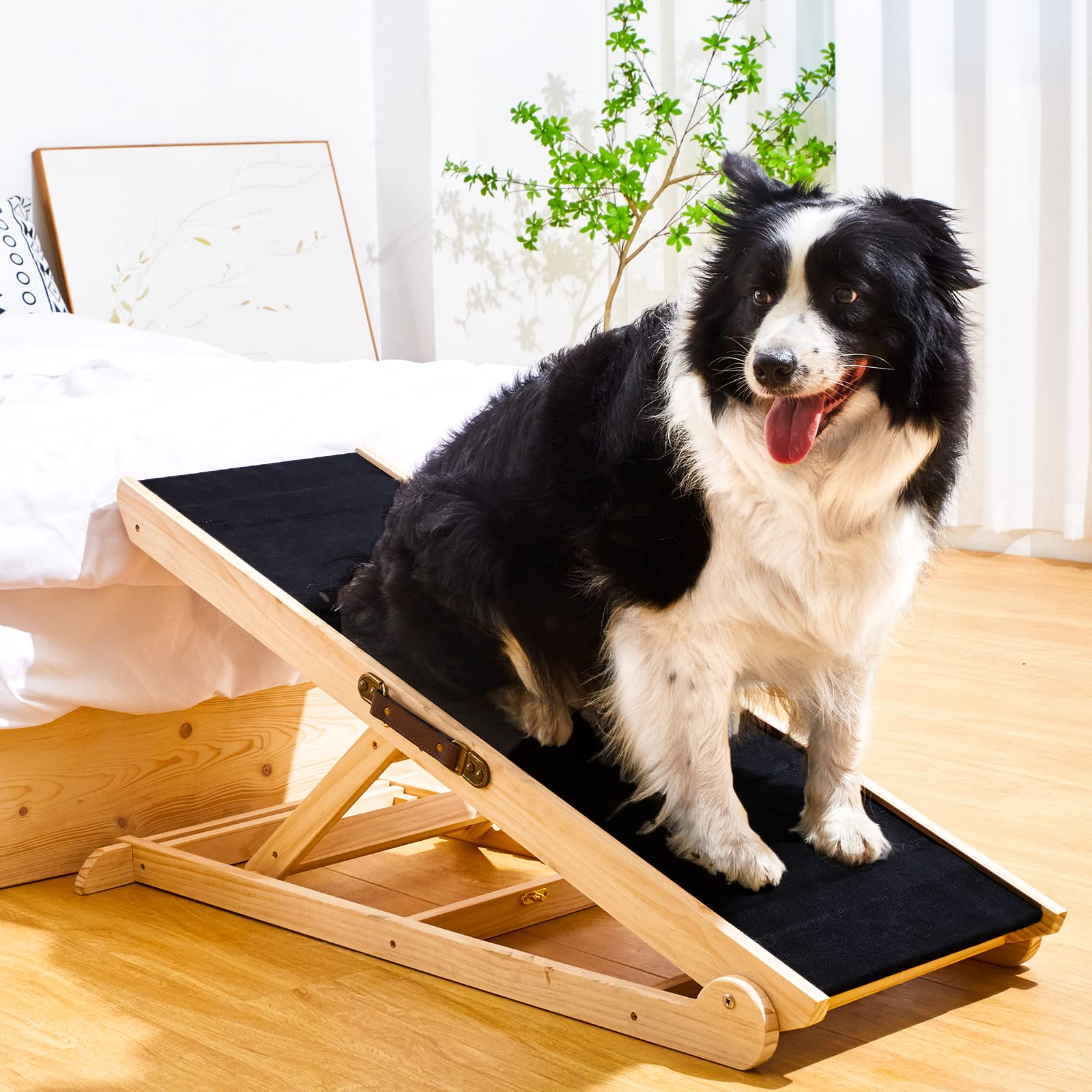 Woohoo Dog Ramp - with Innovative Non-Slip Rubber Mat - for Couch and ...