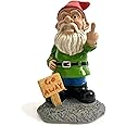 Amazon.com: Go Away Gnome with Middle Finger, Gnome Flipping The Middle ...