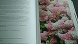 Hydrangeas: Beautiful Varieties for Home and Garden: Slade, Naomi, Lane ...