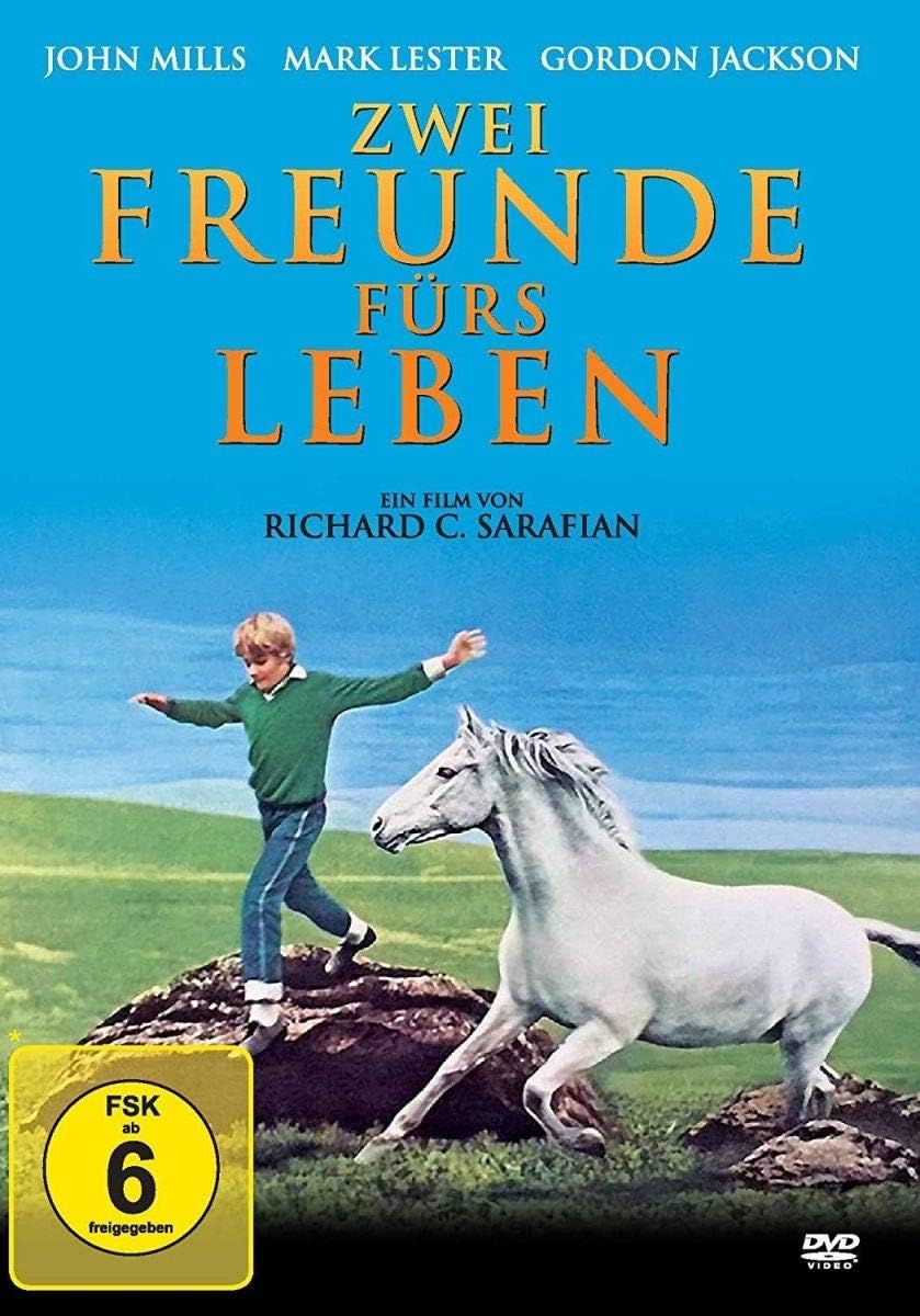Zwei Freunde fürs Leben: Amazon.co.uk: DVD & Blu-ray