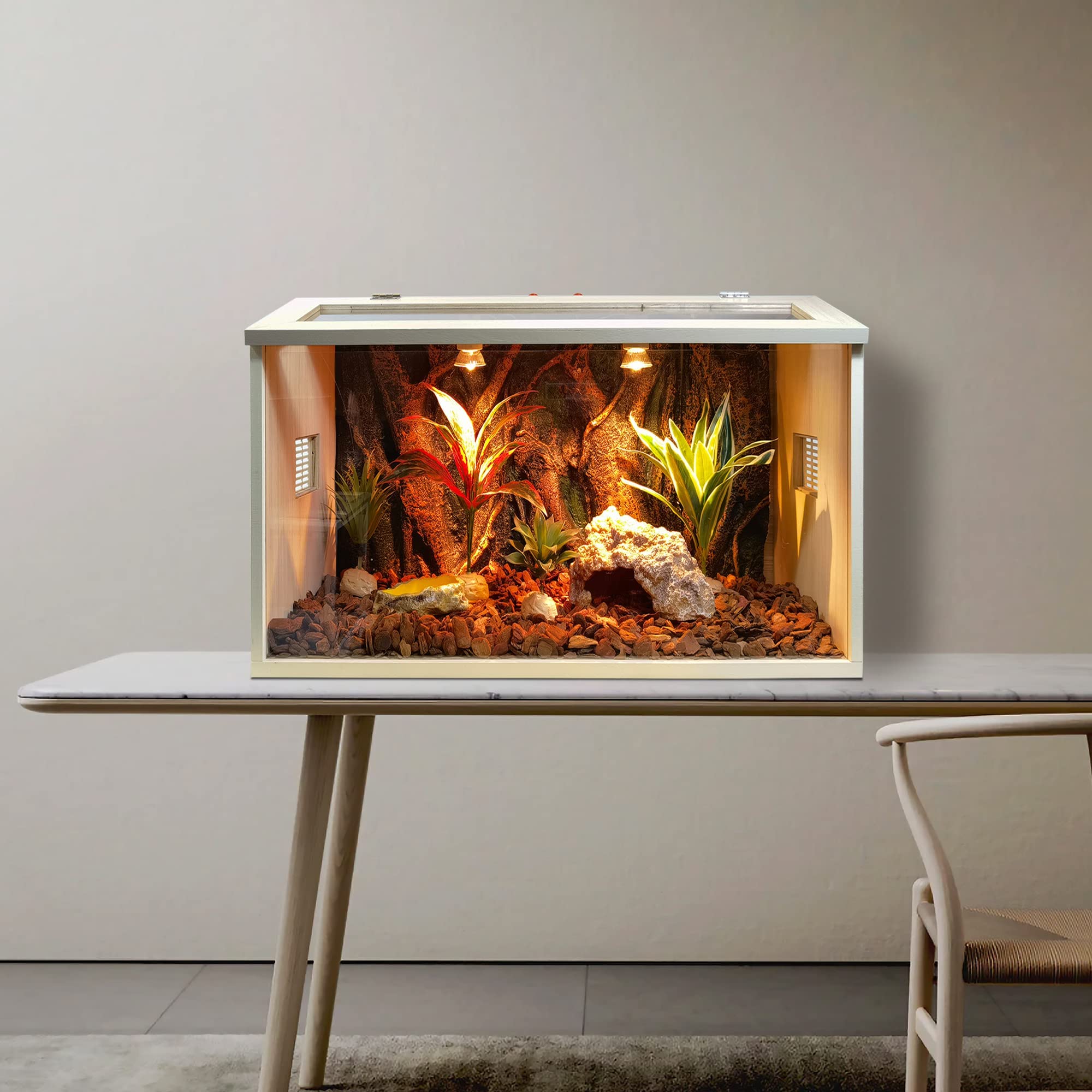 Mua Bearded Dragon Tank 21 Gallons, Lizard Tank, Reptile Tank, Reptile ...