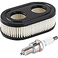 Amazon.com: Premium Lawn Mower Air Filter Set for Troy-Bilt TB110 TB115 ...