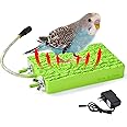 Amazon.com : Bird Heated for Cage, Bird Heating Station Plate Bird ...