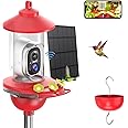 Amazon.com : SOLIOM Humbirdy BF06 Hummingbird Feeder with Camera Solar ...