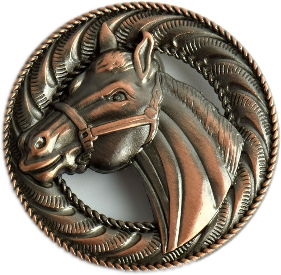 Concho Decorativas Caballo/Bronco Screwback Conchos con un Antiguo ...