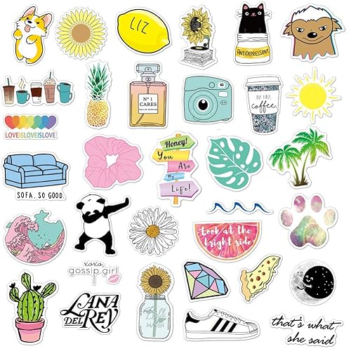 VSCO Stickers, Vinyl Waterproof Water Bottle Stickers, Laptop, Phone ...