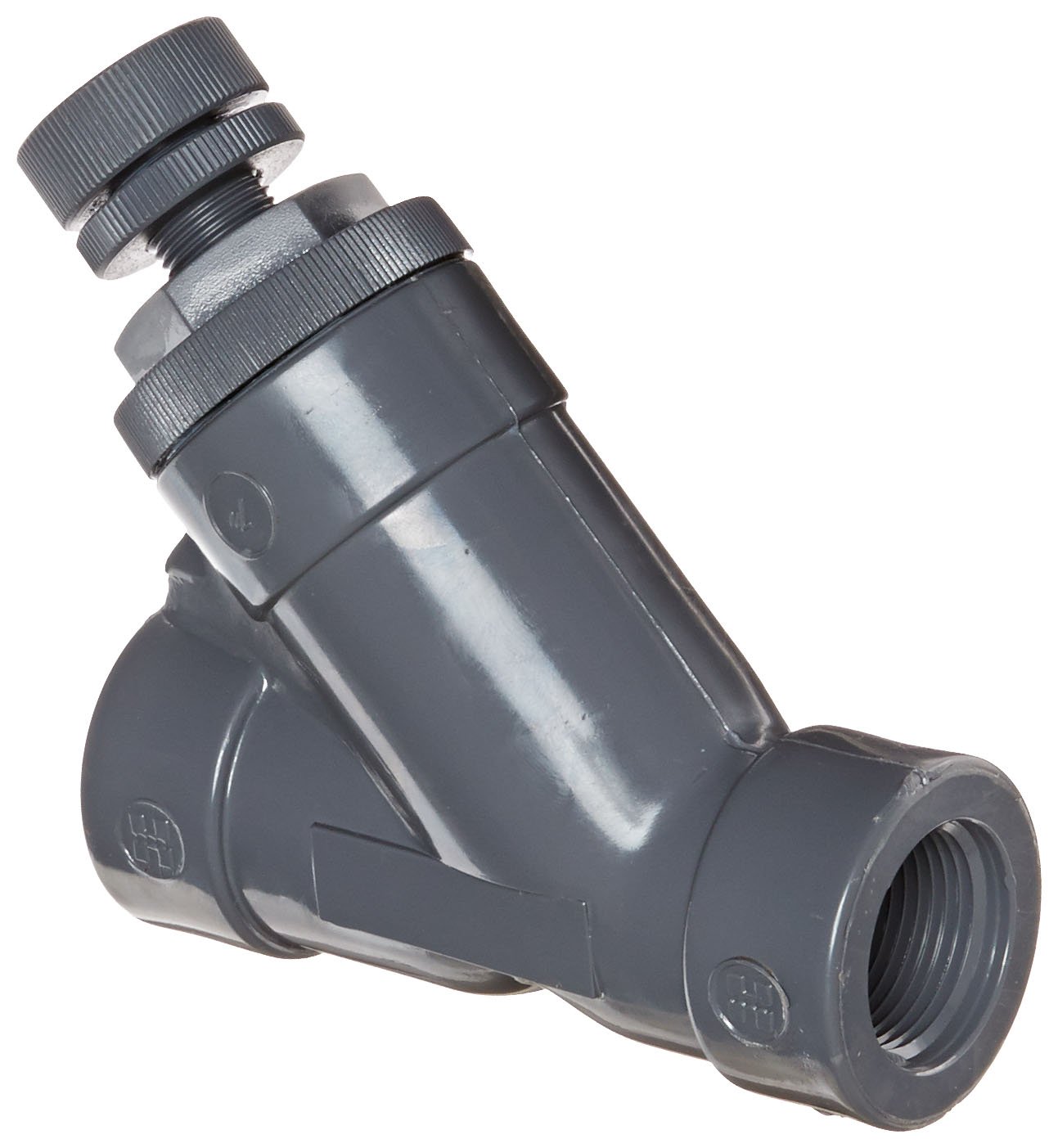 Hayward SLC10100TE Series SLC Spring-Loaded Y-Check Valve Threaded End ...