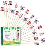 Amazon.com | PheiLa Firework Picks 100 Pack 4th of July Cocktail Picks ...