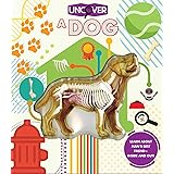 Uncover a Horse (Uncover Books): Gordon, David George: 9781592238866 ...