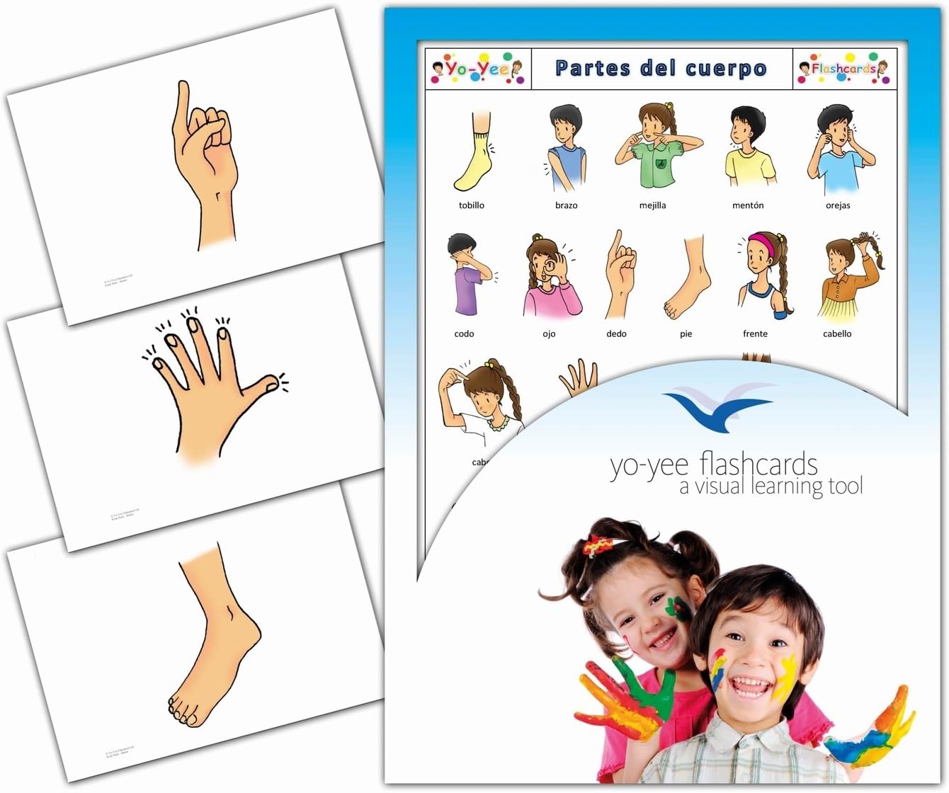 Tarjetas De Vocabulario Partes Del Cuerpo Body Parts Flashcards In ...