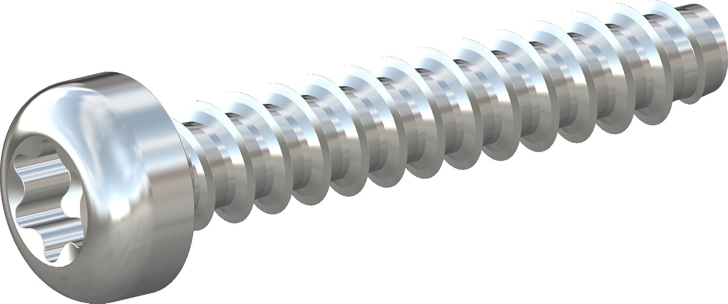 Screwerk Schraube F r Kunststoffe 100 PC Pan Kopf Mit 6 lobe TX Screwerk Schraube F r Kunststoffe 100 PC Pan Kopf Mit 6 lobe TX
