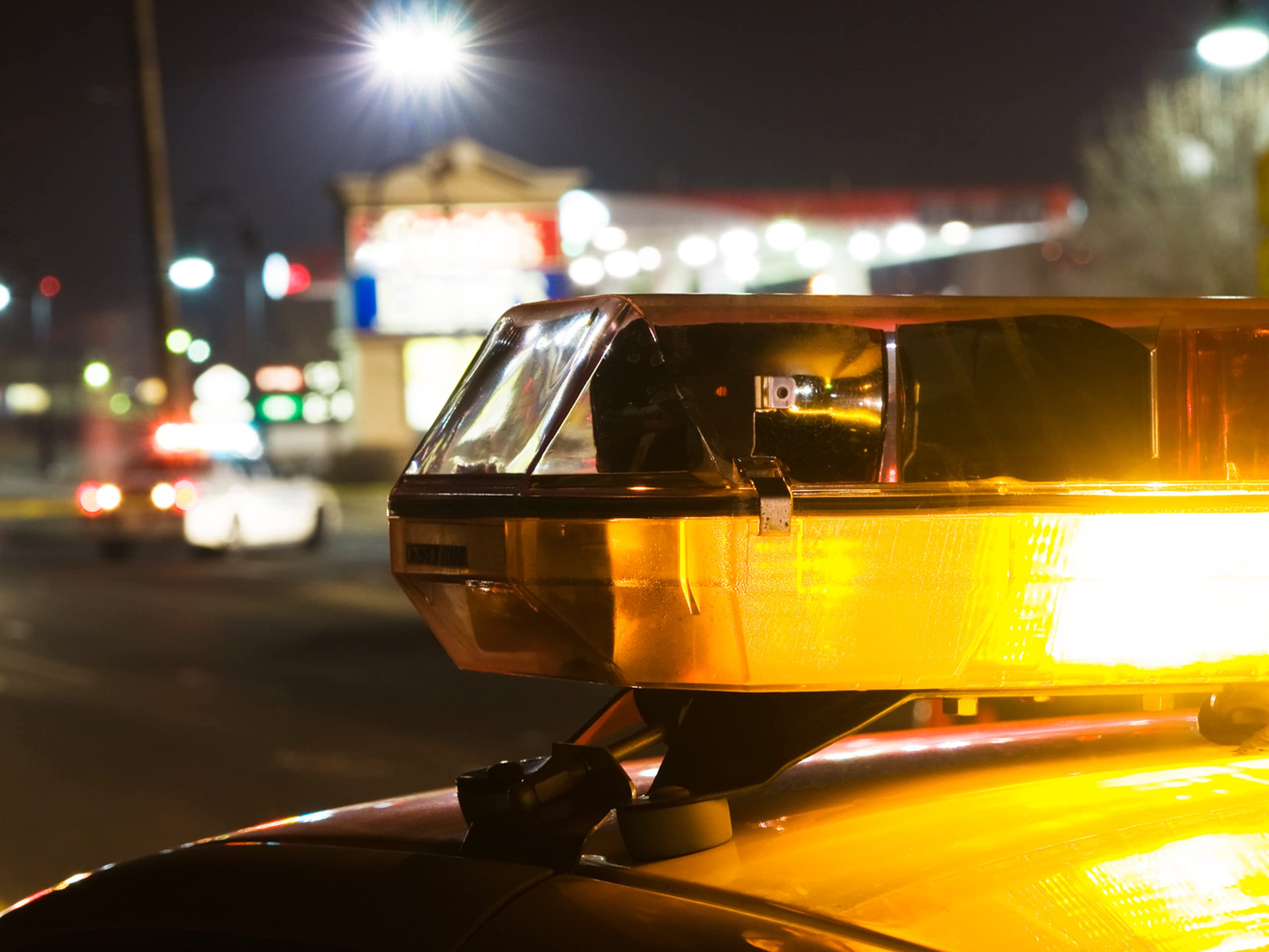 Watch Bloodline Detectives - Season 2 | Prime Video