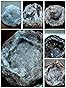 Amazon.com: Break Your Own Geodes Kit 12 Whole Geodes Miner’s Choice ...