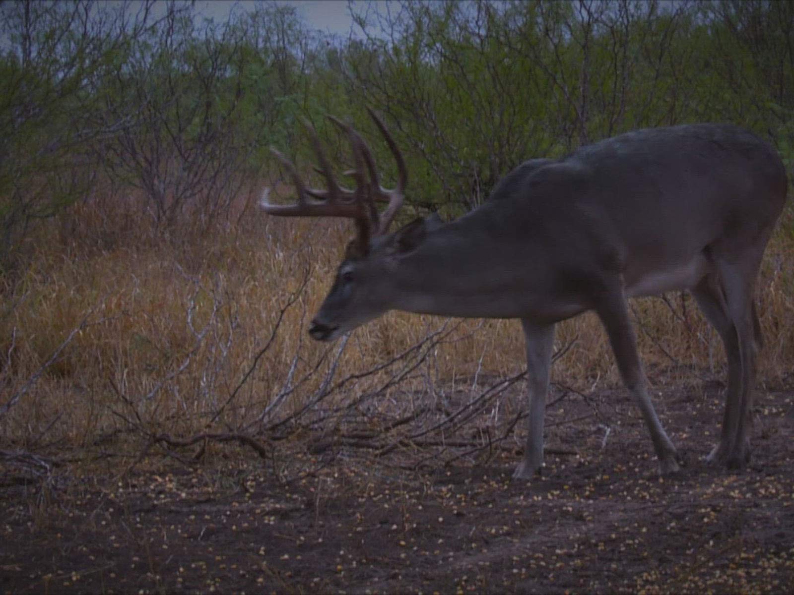 Watch Live 2 Hunt - Season 5 | Prime Video