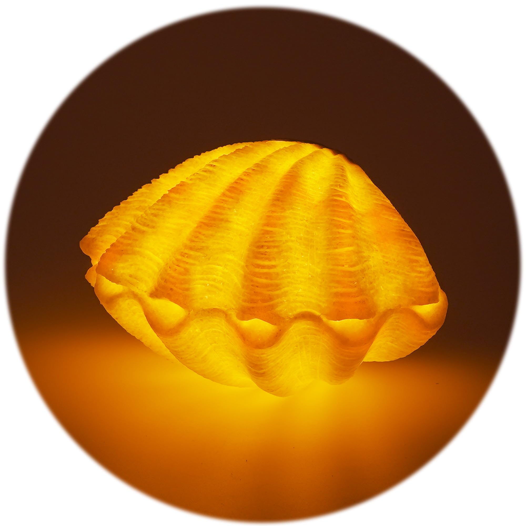 GREENIC Sea Shell Night Light for Beach Ocean Decor, AAA Battery ...