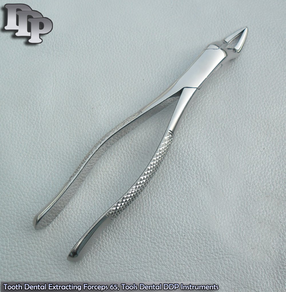 Amazon.com: Dental Tooth Extracting Forceps #65 DDP Instruments ...