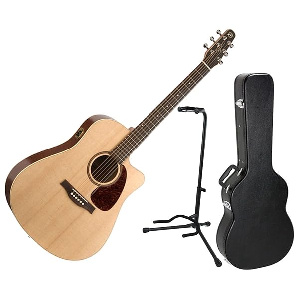 Seagull Acoustic-Electric Guitar Bundle - NotImported.ca