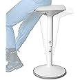 Amazon.com: Backerz Standing Desk Stool Chair, Height Adjustable Stool 21-31 inch for Office and ...