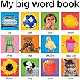 Amazon.com: My Big Animal Book (My Big Board Books): 9780312511074 ...