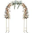 Amazon.com : Wedding Arch Backdrop Stand, Metal Double Tube Arch Frame ...